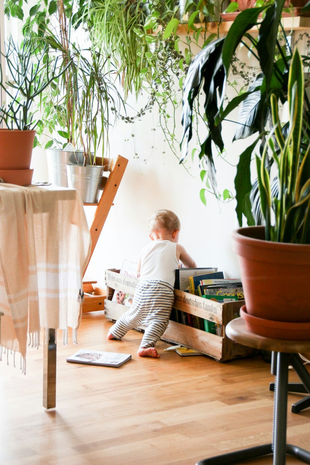 30 Essential Speak About the Photo Examples with High-Scoring Answers